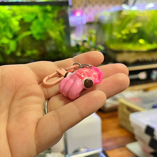 Cuddle Fish🦑 – ComfySproutCo