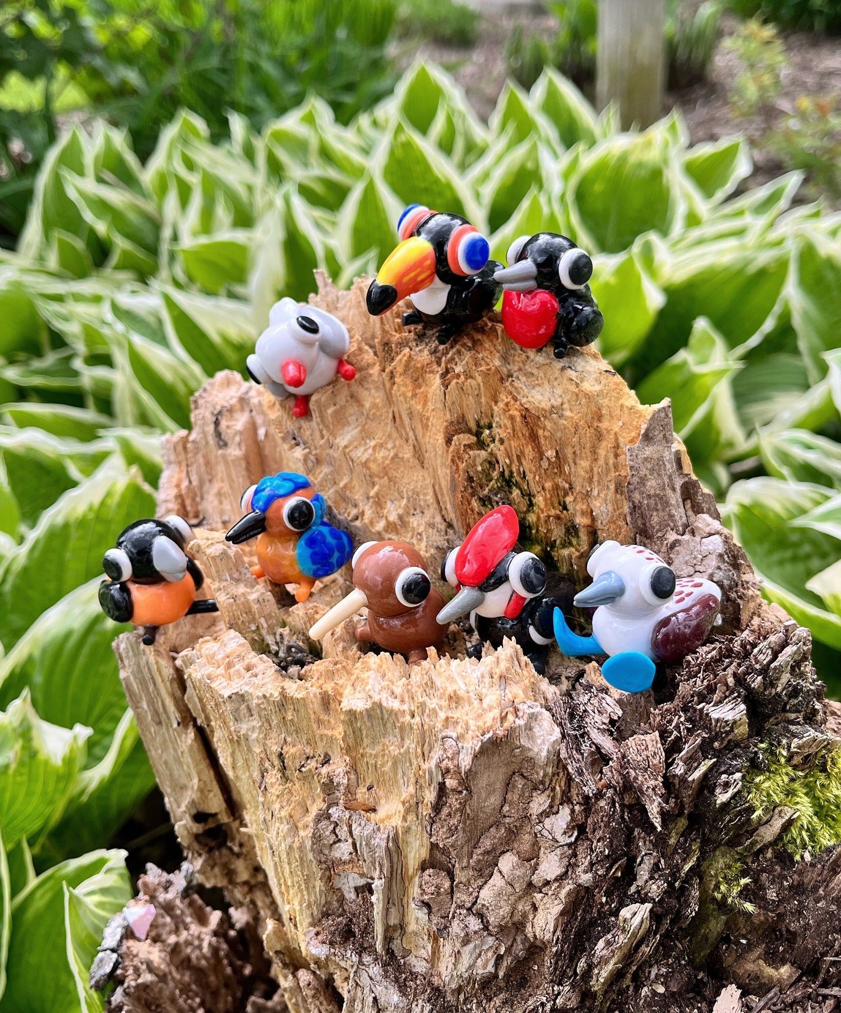 The Bird Collection – ComfySproutCo